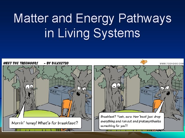 Matter and Energy Pathways in Living Systems Photosynthesis