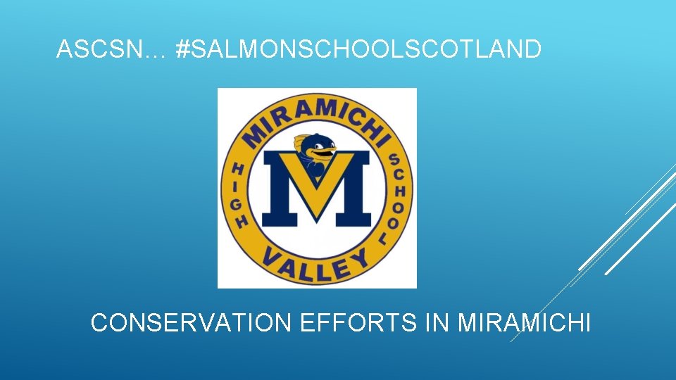 ASCSN SALMONSCHOOLSCOTLAND CONSERVATION EFFORTS IN MIRAMICHI MREAC A