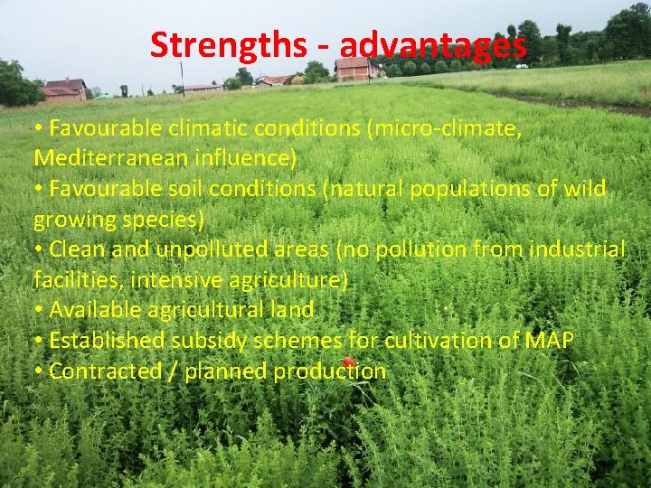 WORKSHOP ON IDENTIFICATION OF EDUCATION NEEDS AND OPPORTUNITIES