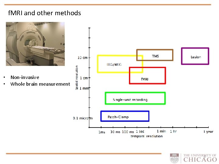 Introduction to Functional and Anatomical Brain MRI Research