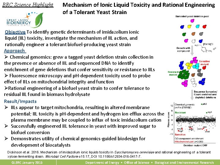 BRC Science Highlight Mechanism of Ionic Liquid Toxicity