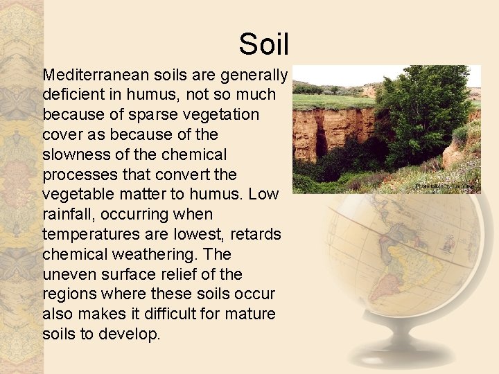 World Biomes Mediterranean biome Climate In the winter