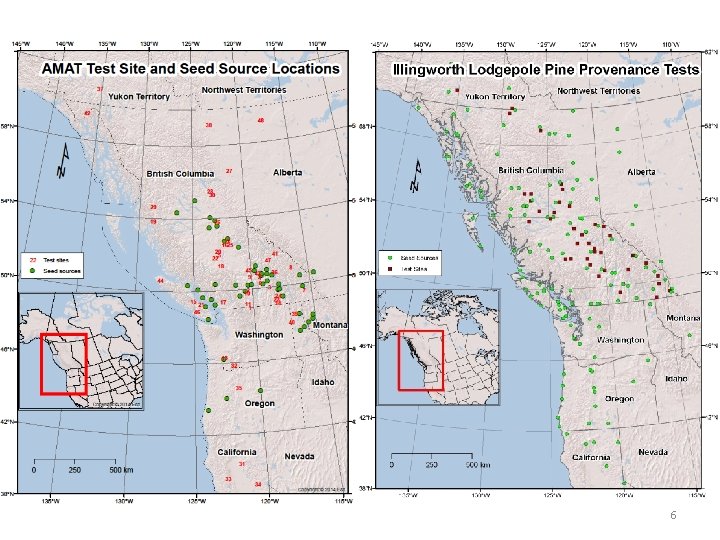 Seed Transfer 2 0 Establishing plantations for the