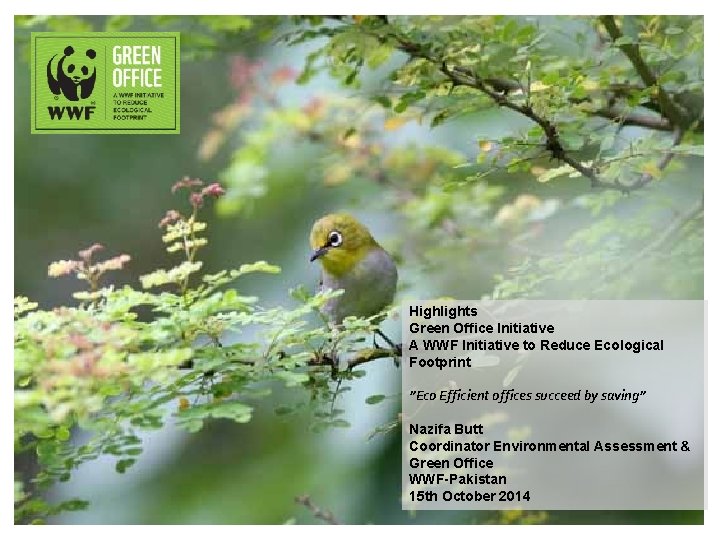 Highlights Green Office Initiative A WWF Initiative to