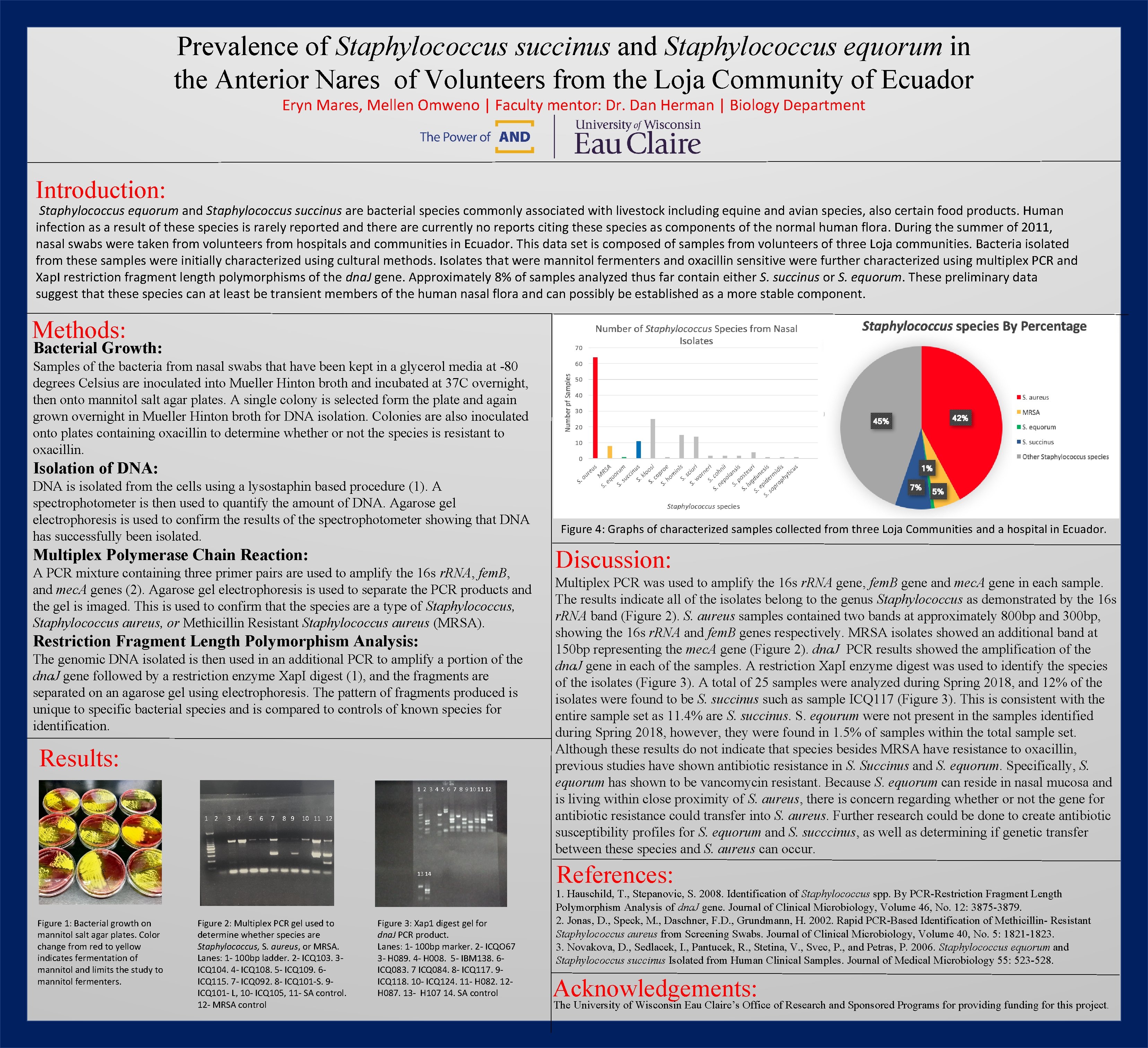 Prevalence of Staphylococcus succinus and Staphylococcus equorum in