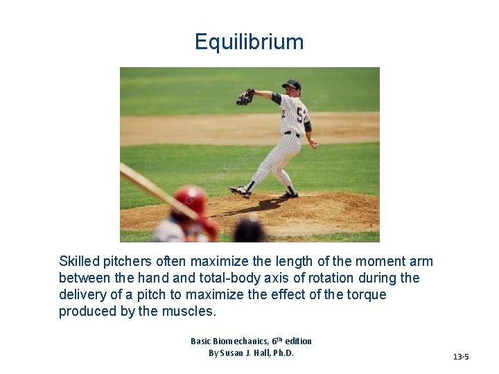 Chapter 13 Equilibrium and Human Movement Basic Biomechanics