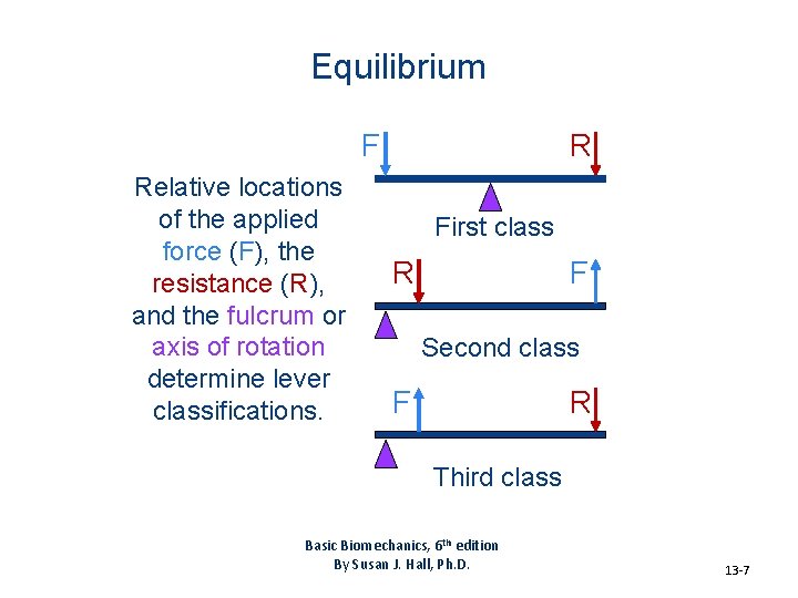 Chapter 13 Equilibrium and Human Movement Basic Biomechanics