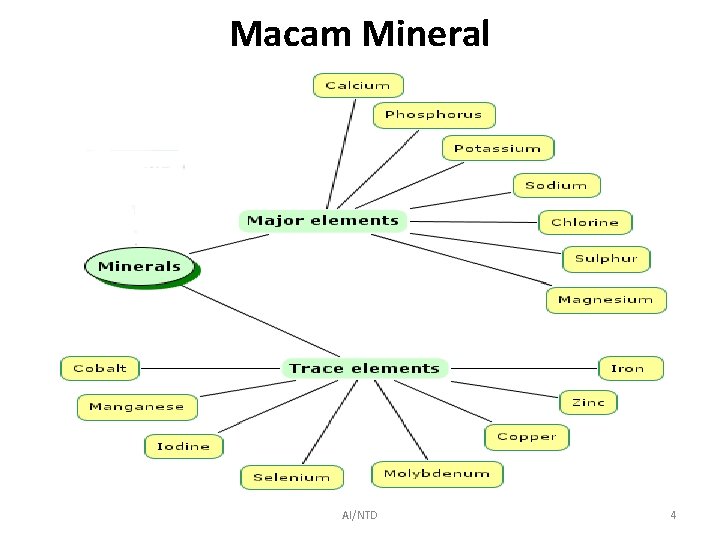 MINERAL Struktur Fungsi dan Mekanisme kerjanya Mineral Merupakan