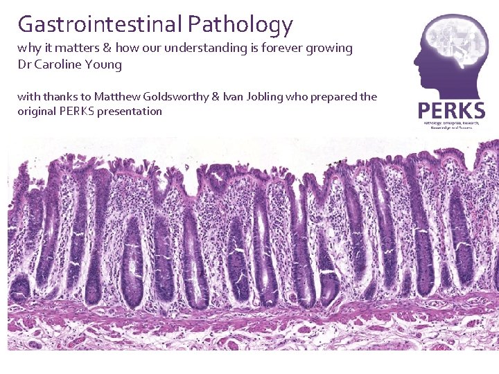 Gastrointestinal Pathology why it matters how our understanding