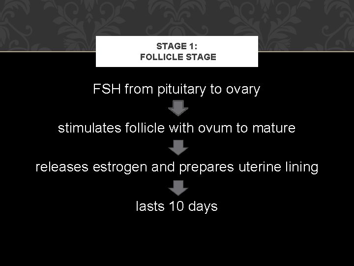 THE MENSTRUAL CYCLE FACTS Occurs every 28 days