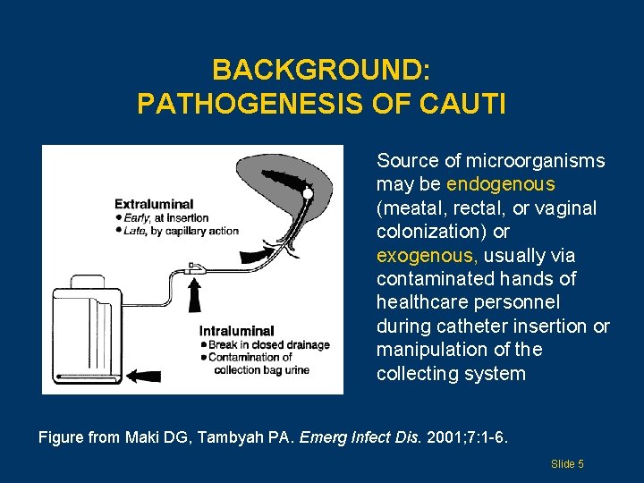 AGS Catheterassociated Urinary Tract Infection CAUTI in the