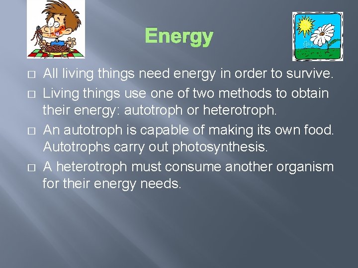 CHARACTERISTICS OF LIVING THINGS What is a living