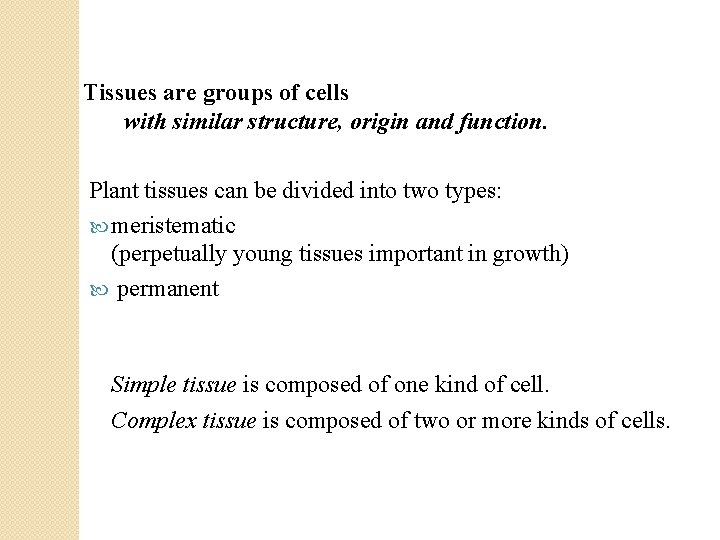 Plant Tissues Tissues are groups of cells with
