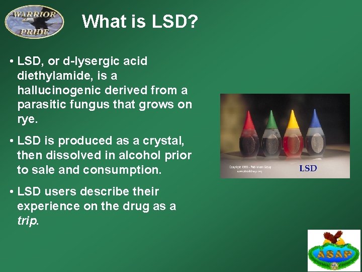 Hallucinogens Learning Objectives Identify the different types of