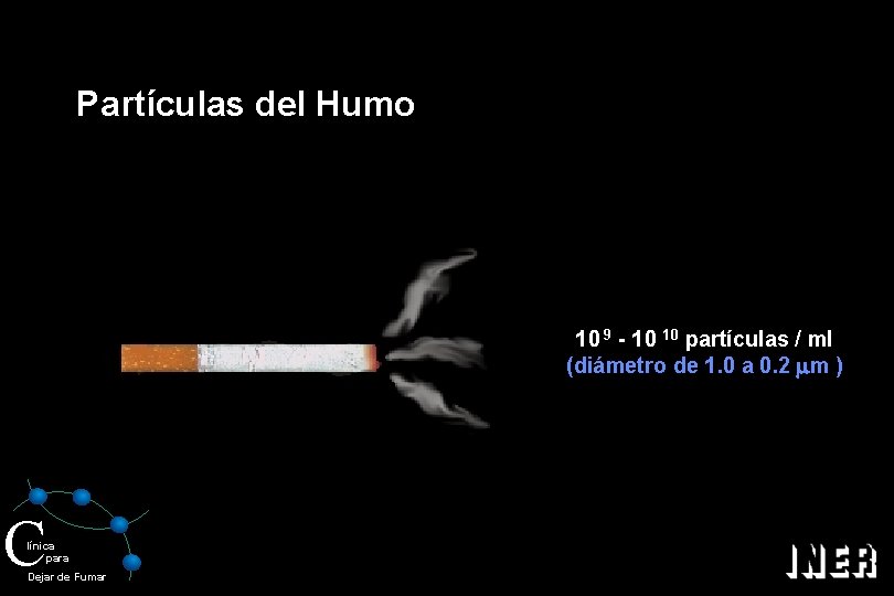 Anatoma Funcional del cigarro para explicar el Tabaquismo