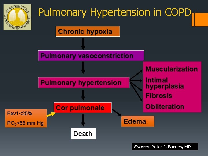 2017 Global Initiative for Chronic Obstructive Lung Disease