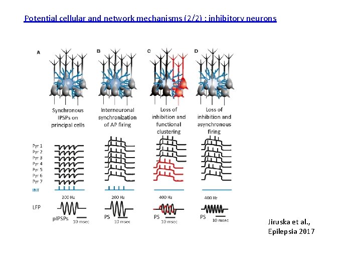 High Frequency Oscillations HFO Frdric Zubler Neurologie Inselpital