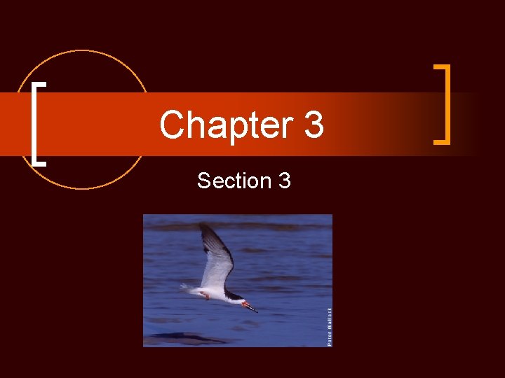 Chapter 3 Section 3 The Hydrosphere and Biosphere