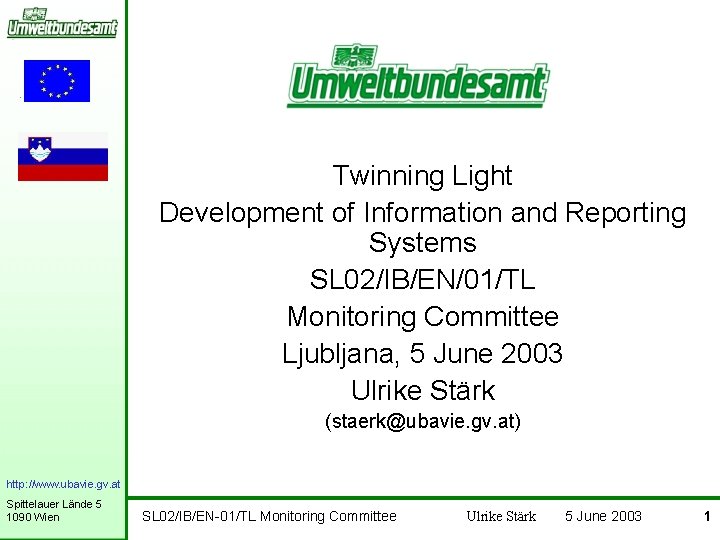 Twinning Light Development of Information and Reporting Systems