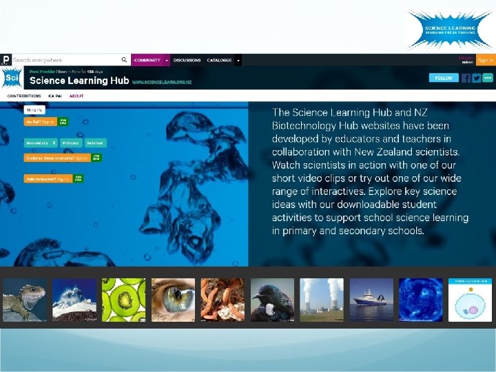 Barb Ryan with Paula Hay and Rachel Douglas