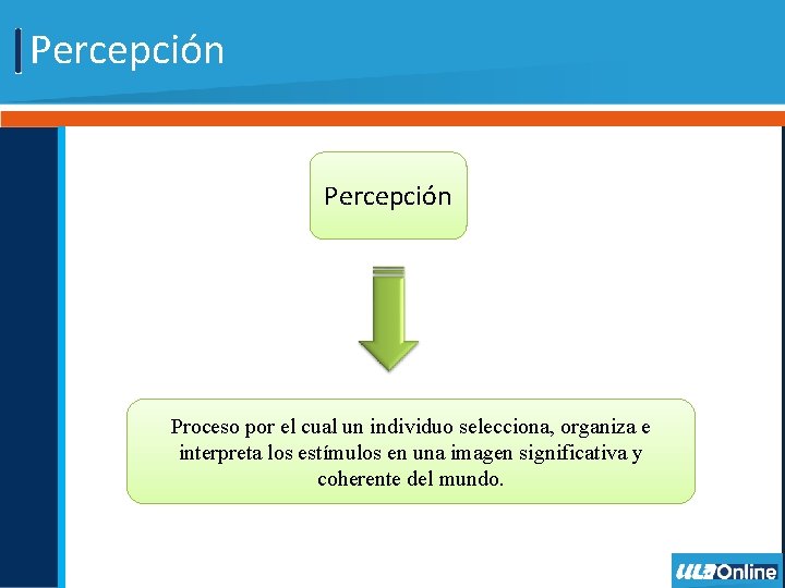 El consumidor y su entorno ndice VARIABLES PSICOGRFICAS