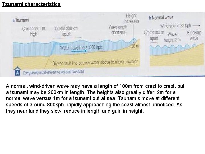 Learning Objectives 1 To understand what a tsunami