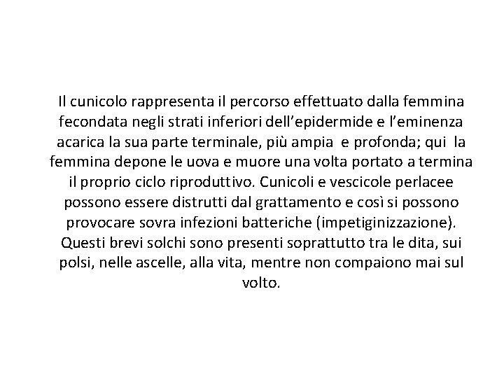 E DELLA SERIE A VOLTE RITORNANO Dr Bergonzoni