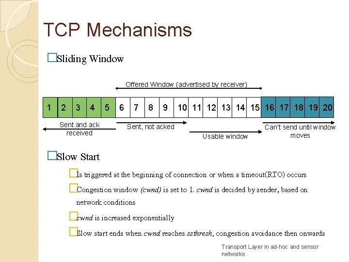 Transport layer in ad hoc and sensor network
