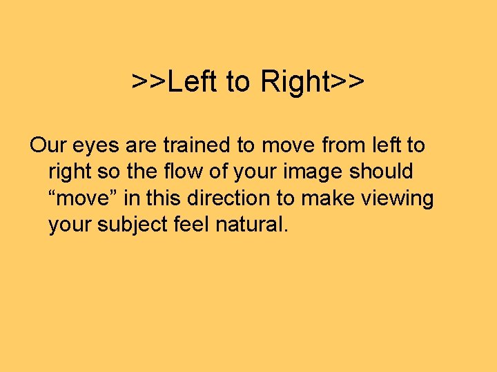 Effective Digital Imaging using Basic Composition and Adobe