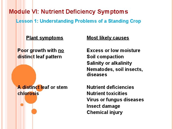 Module VI Nutrient Deficiency Symptoms Lesson 1 Understanding