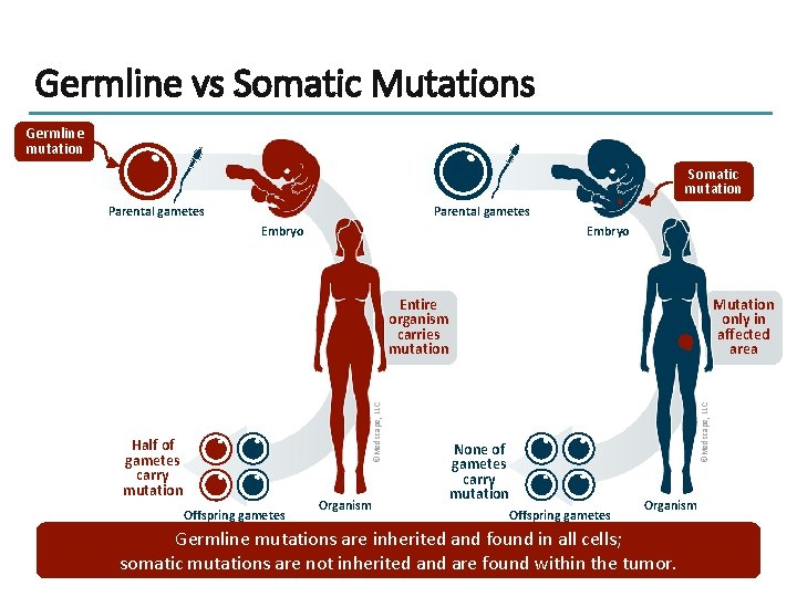 The Nurse View Clinical Considerations in the Management