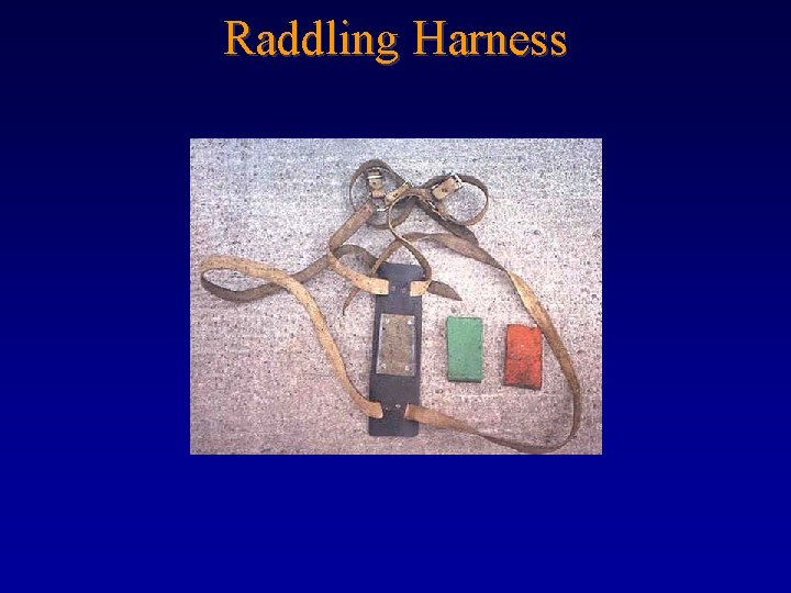 Lowland Lamb Production Breeding Management We are trying