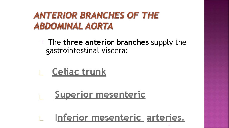 DR TABREZ 1 The abdominal aorta begins at