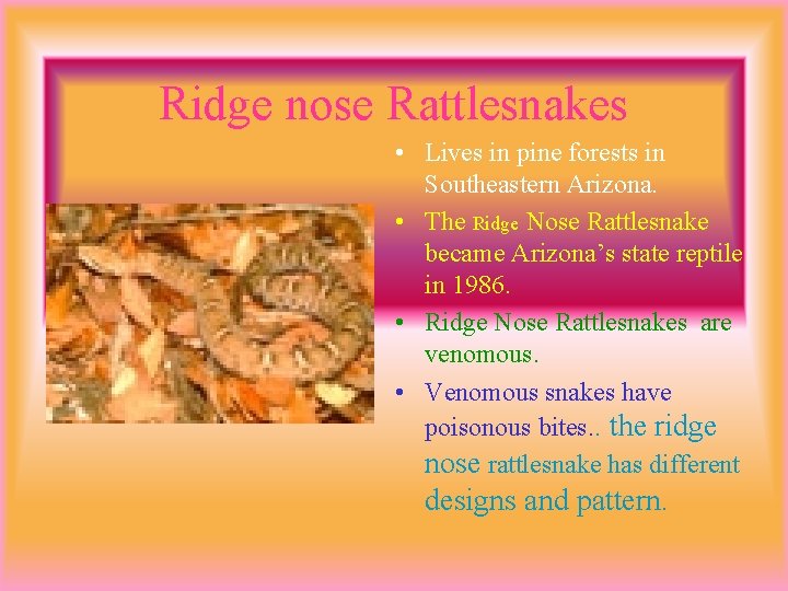 The Symbols of Arizona By Mrs Evans Fourth