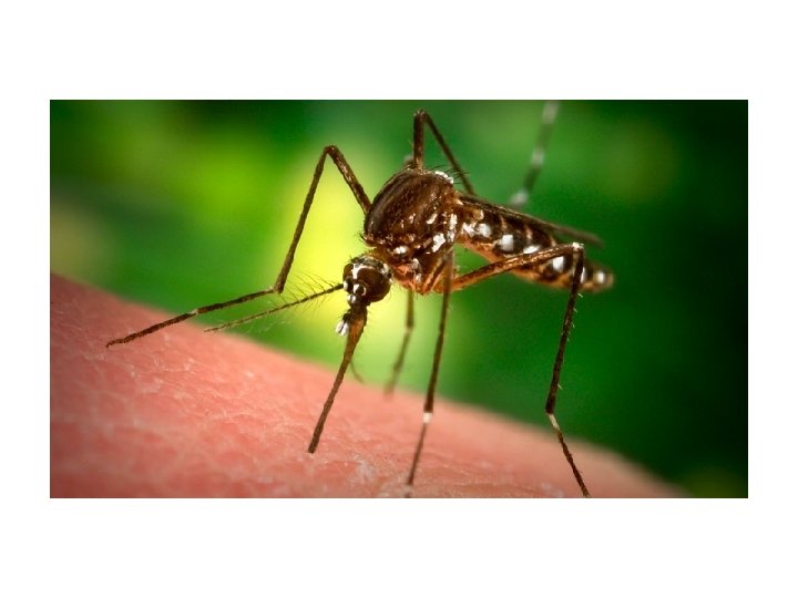 Symbiosis living together There are 5 types of