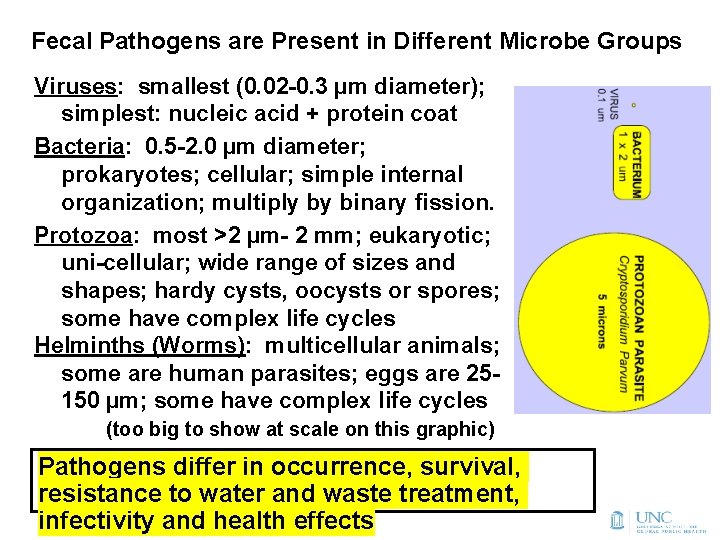 Healthrelated microbial aspects of water reuse and reclaimed