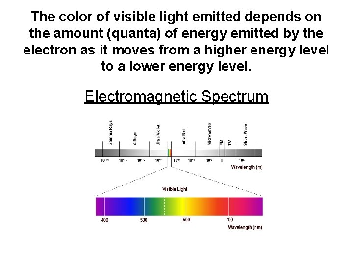 Energetic Light Why Do Things Glow Bioluminescence The