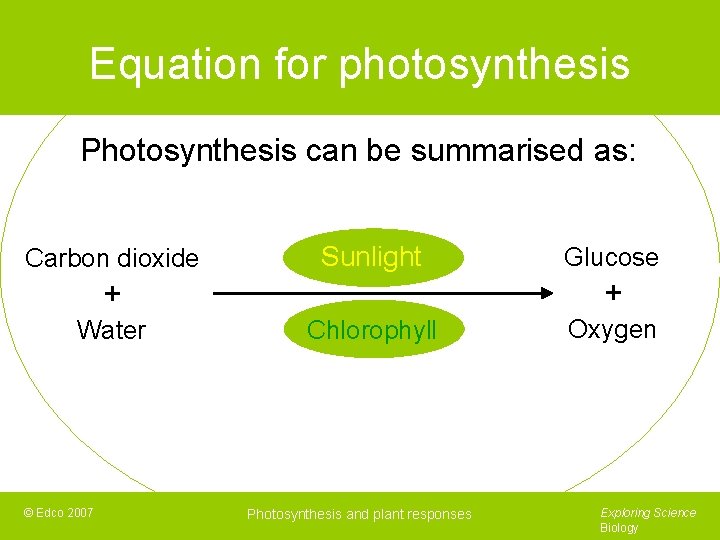 Photosynthesis and Plant Responses Edco 2007 Photosynthesis and