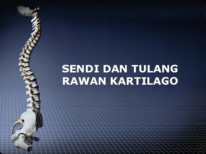 BAB 1 Anatomi dan Fisiologi Muskuloskeletal Oleh Dr