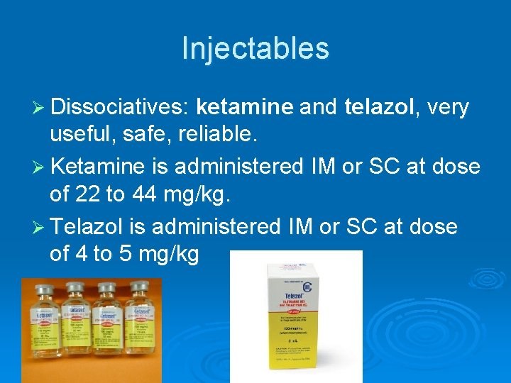 Reptile Anesthesia Injectable and inhalant anesthetics are commonly