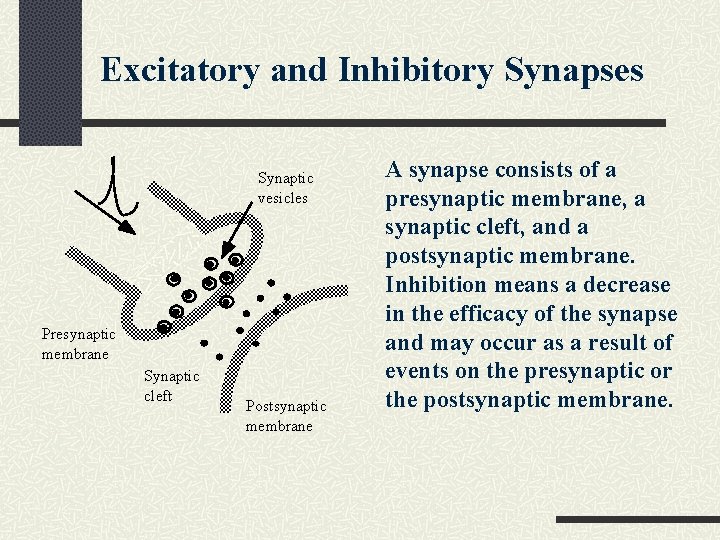 Neurophysiological Basis of Movement World II Connections Lecture