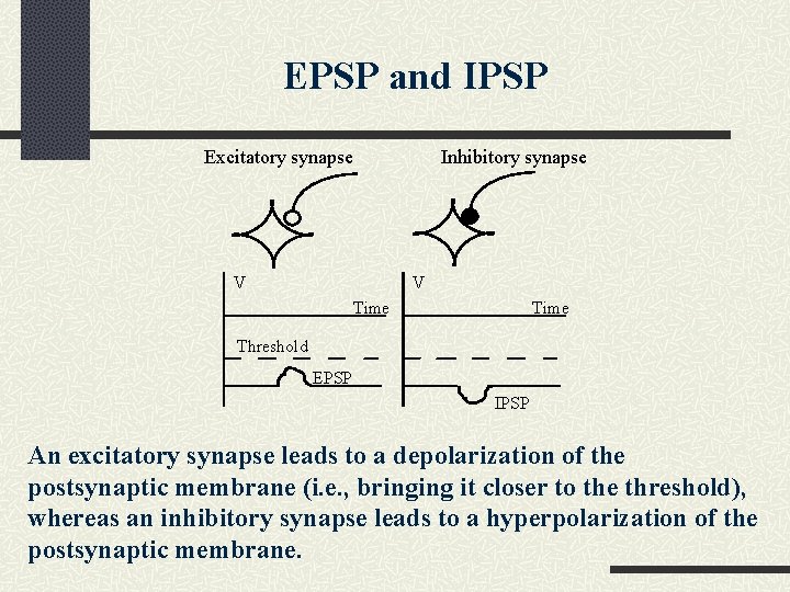 Neurophysiological Basis of Movement World II Connections Lecture