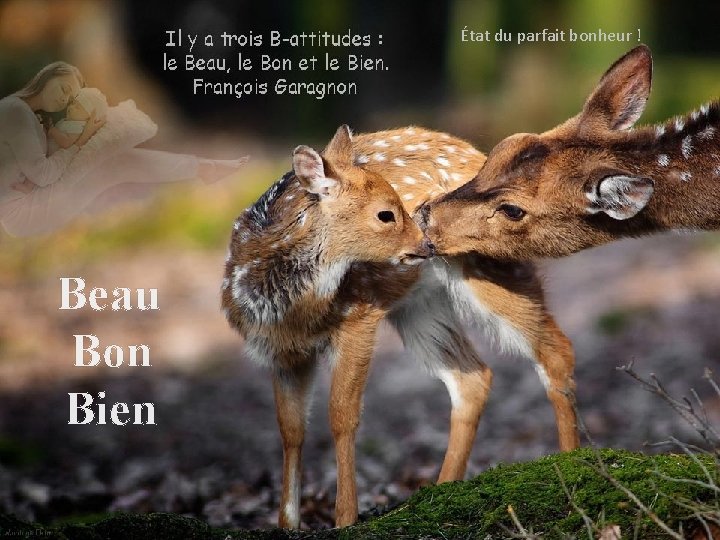 tat du parfait bonheur Beau Bon Bien Les