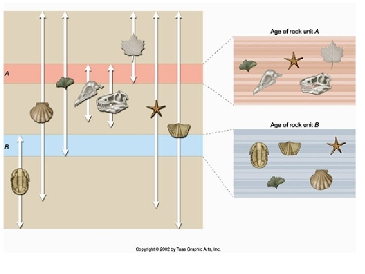 Geologic Time Earth and Space Science Major Questions