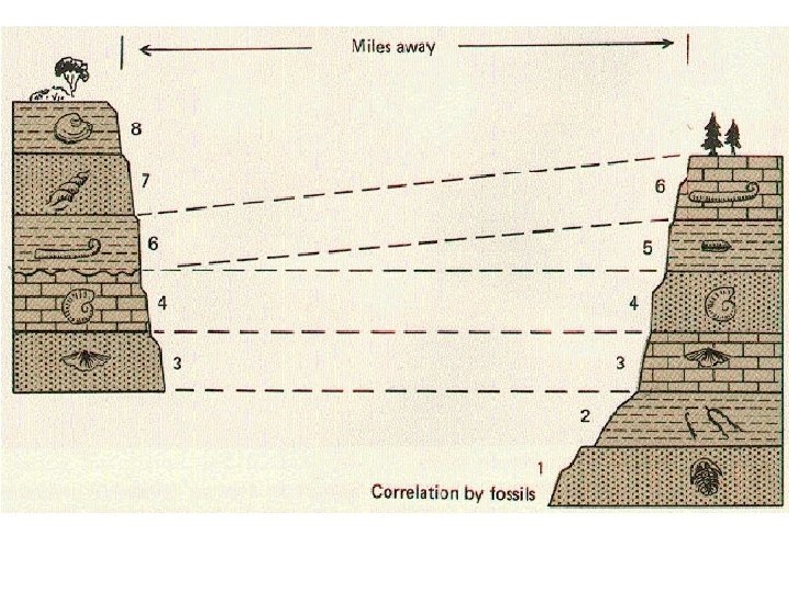 Geologic Time Earth and Space Science Major Questions