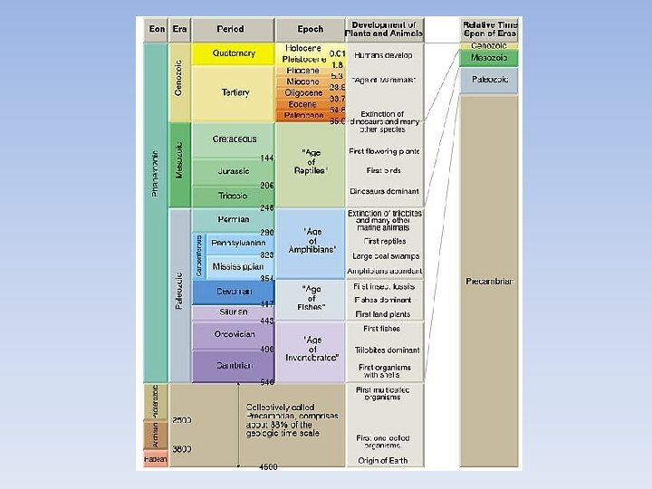 Geologic Time Earth and Space Science Major Questions