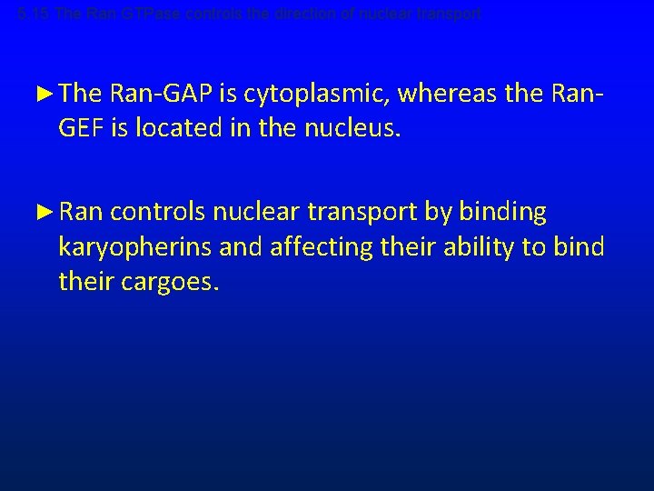 Transporto di Molecole tra Nucleo e Cytosol Membrana