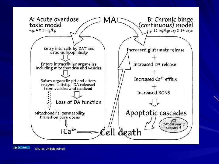 Project Ghana Emergency Medicine Collaborative Document Title Drugs