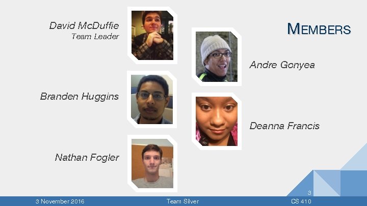 SILVERFISH Feasibility Presentation Team Silver CS 410 Professional