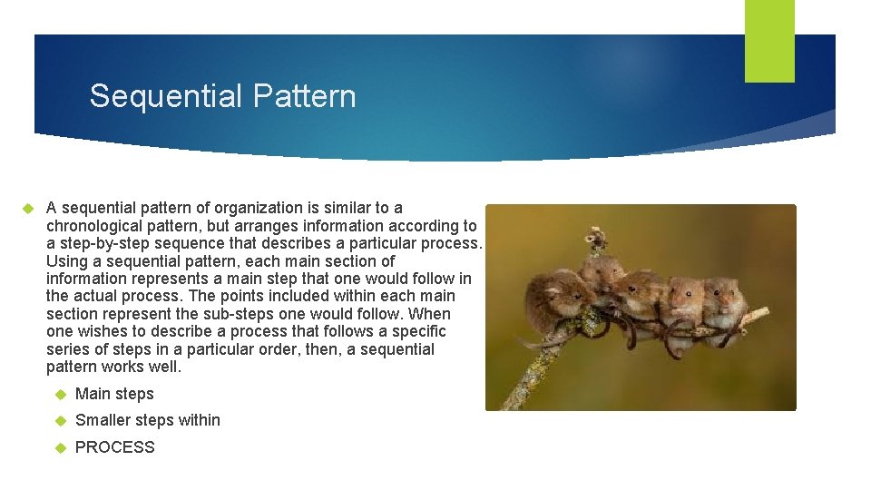 Fenwick Review Day Slideshow requirement BY MIDNIGHT email